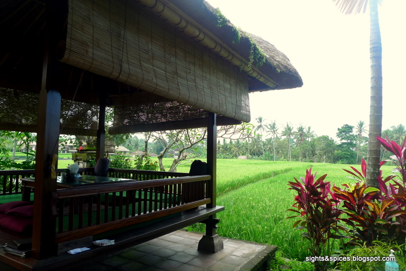 Sights and Spices: Spices: The Flavors of BALI, IINDONESIA