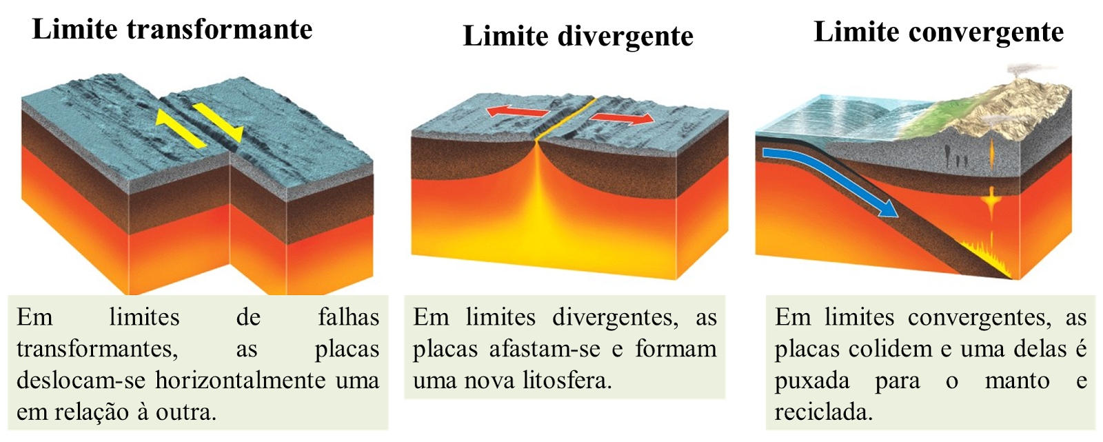 2º de Bachillerato CyL - Ciencias biosanitarias: 2017