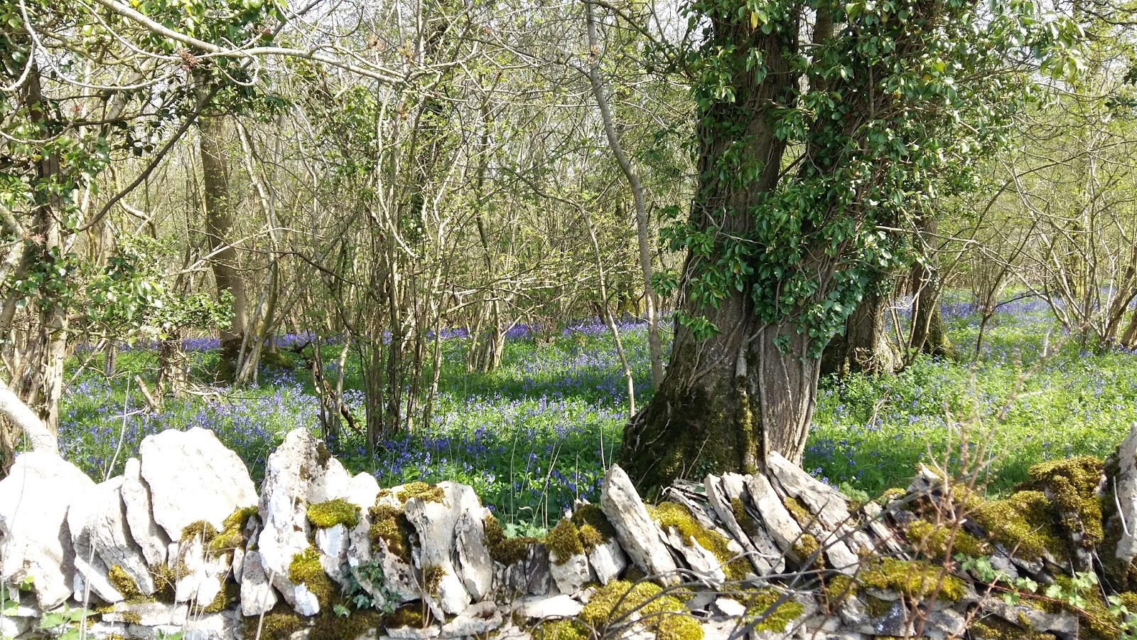 Cotswolds Travel: Idyllic Circular Walk Around Turkdean, Hazelton, and ...