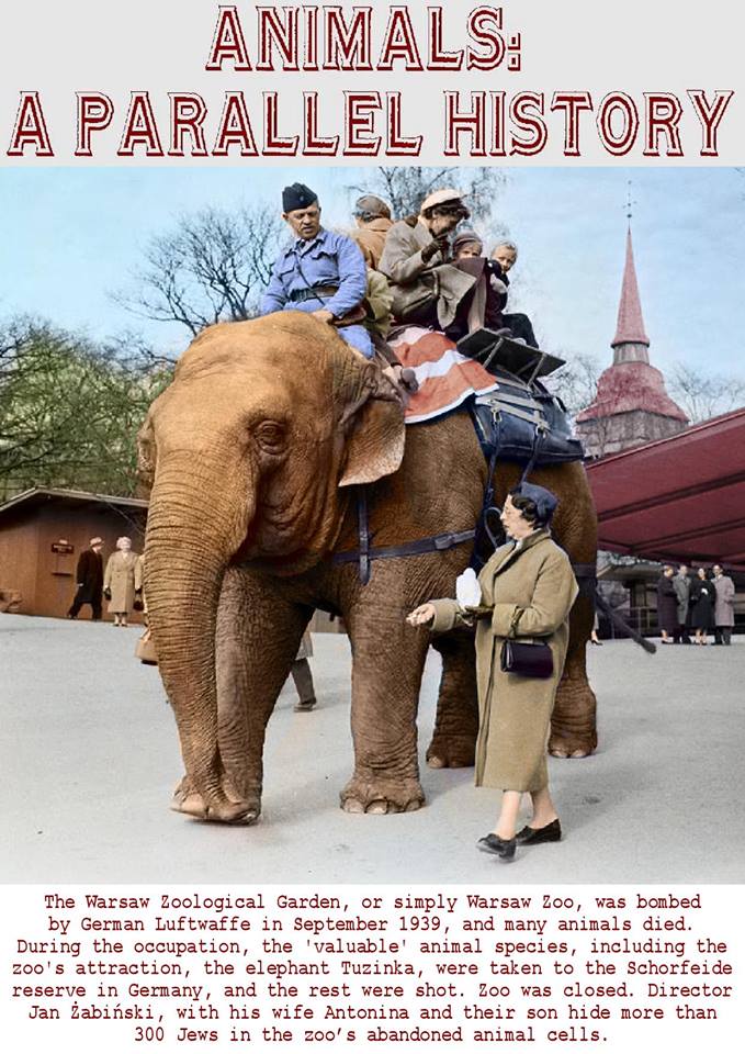 EL ANIMAL INVISIBLE: Animales: Una Historia Paralela. Un documental, un libro y un proyecto ...