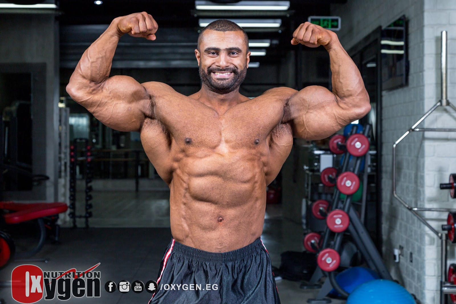 Muscle Lover: Egyptian IFBB Pro bodybuilder Ahmed Shams