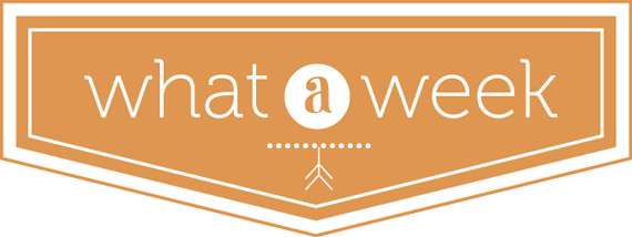 i am doe: What A Week : Basic Grey + Freckled Fawn