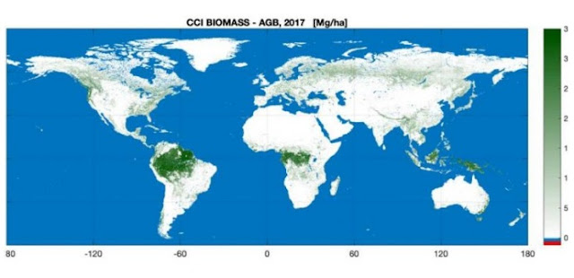 Scientists Have Created A Map Of Biomass Distribution On Earth