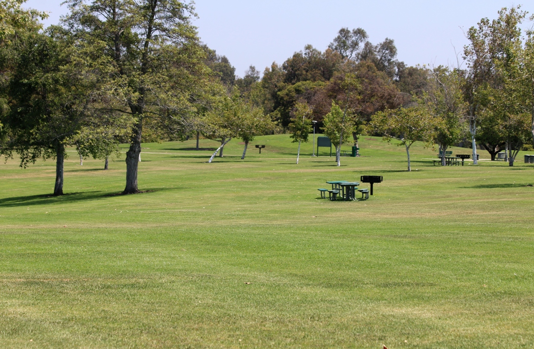 A photo, A thought............: Place : Weekend stroll in Mason ...