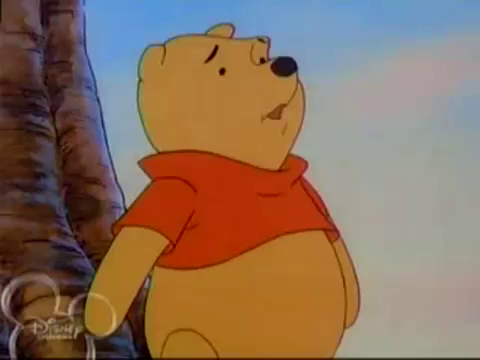 The New Adventures of Winnie The Pooh: February 2019