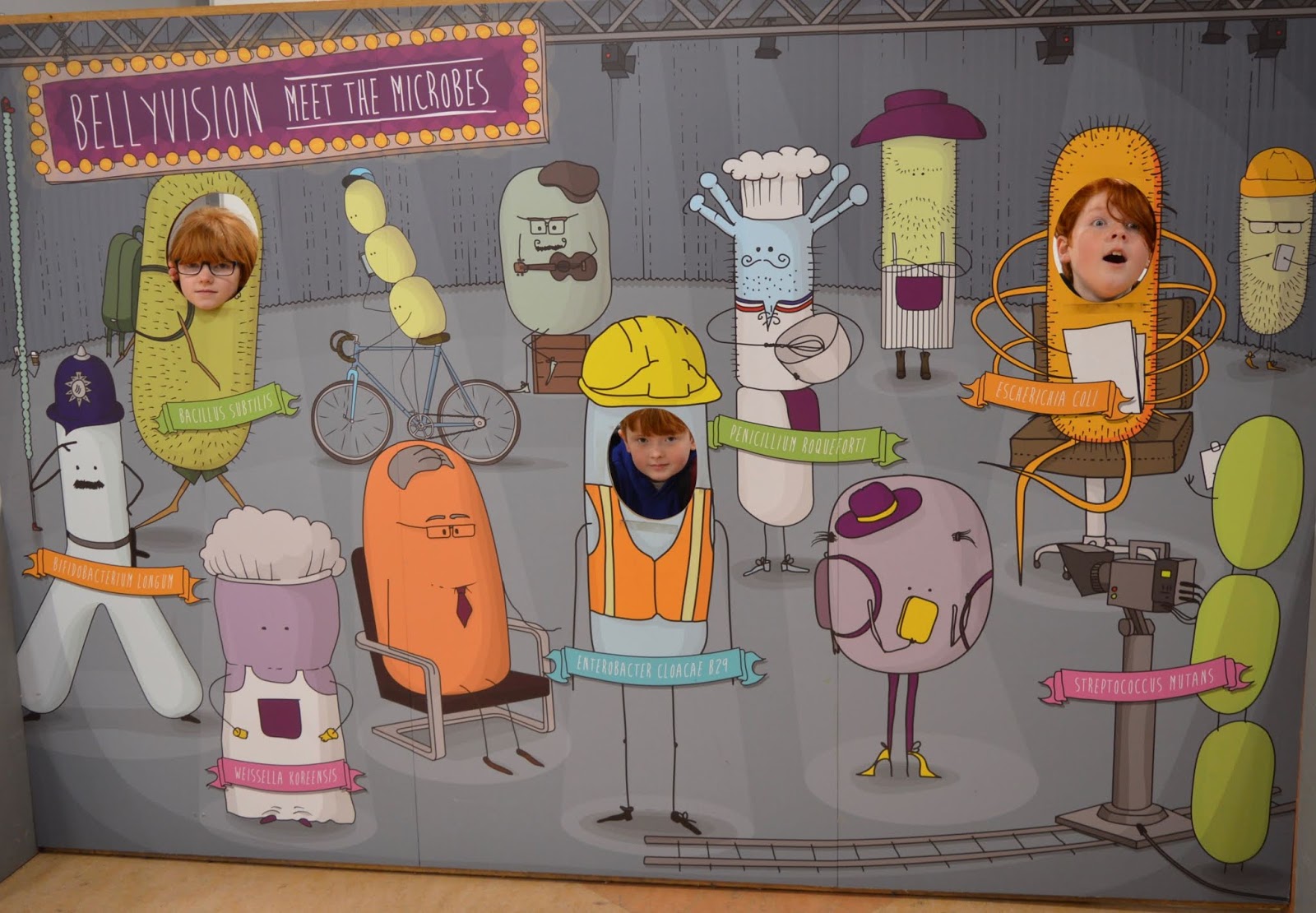 10 Reasons to Visit the Eden Project in Winter | North East Family Fun