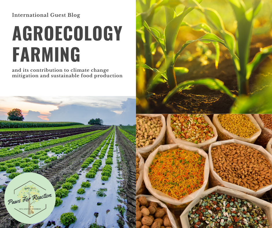 Agroecology farming in Africa: Climate change and sustainable food ...