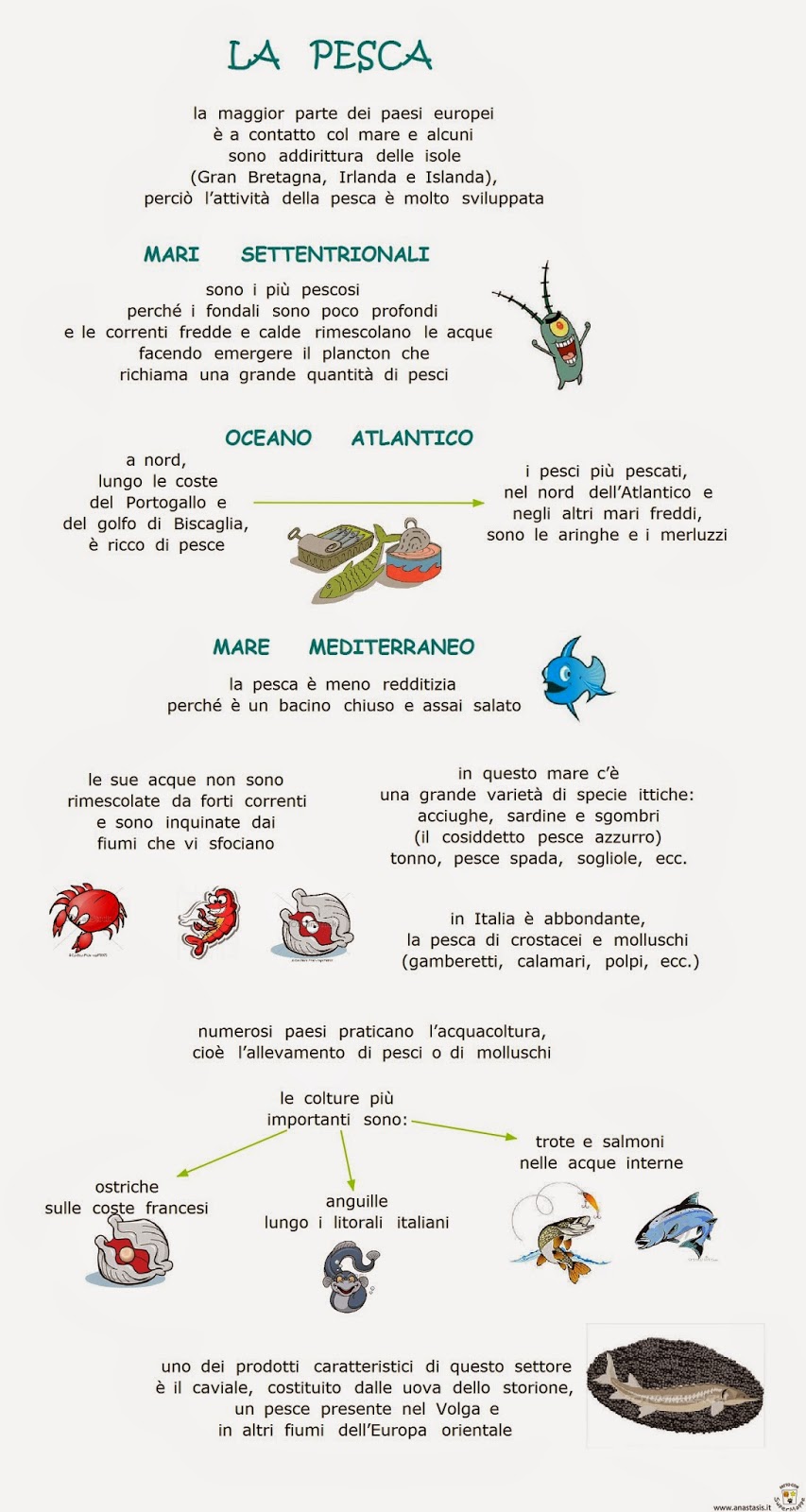 Paradiso delle mappe: La pesca