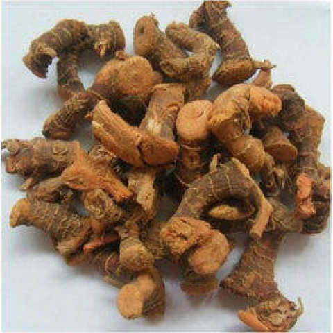 Health Benefits Of Chitharathai (Alpinia Galanga)