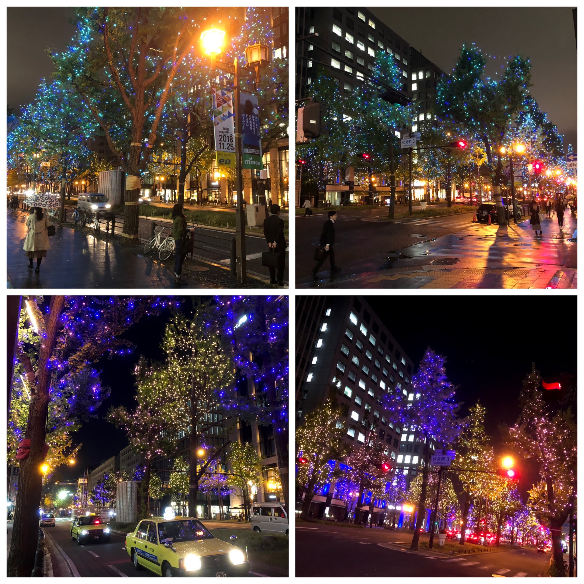 Nov. 2018 - Nov. 2020: Midosuji Street in Osaka, Japan