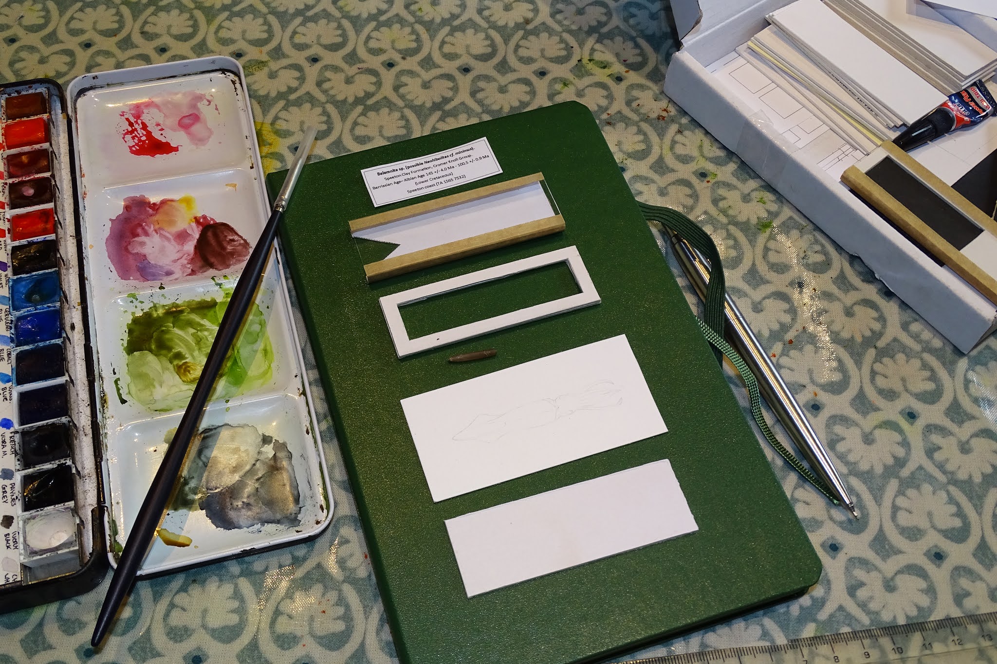 Microfossil Slides III : Watercolour Reconstruction Slides