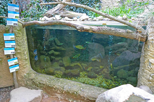 Zoo and Aquarium Design