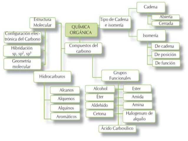 Alquimia Académica: GRADO 11 - El Carbono: Piedra Angular de la Vida y ...