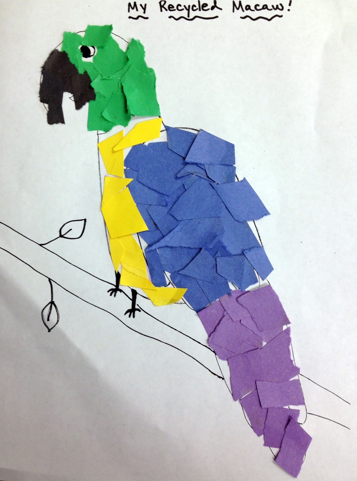 Willy Whiskers: The Adventures of an Elementary Art Teacher: Macaw ...