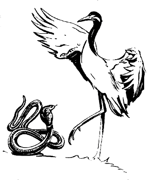 Tai Chi & Its Influence on Entertainment: The Crane and the Snake