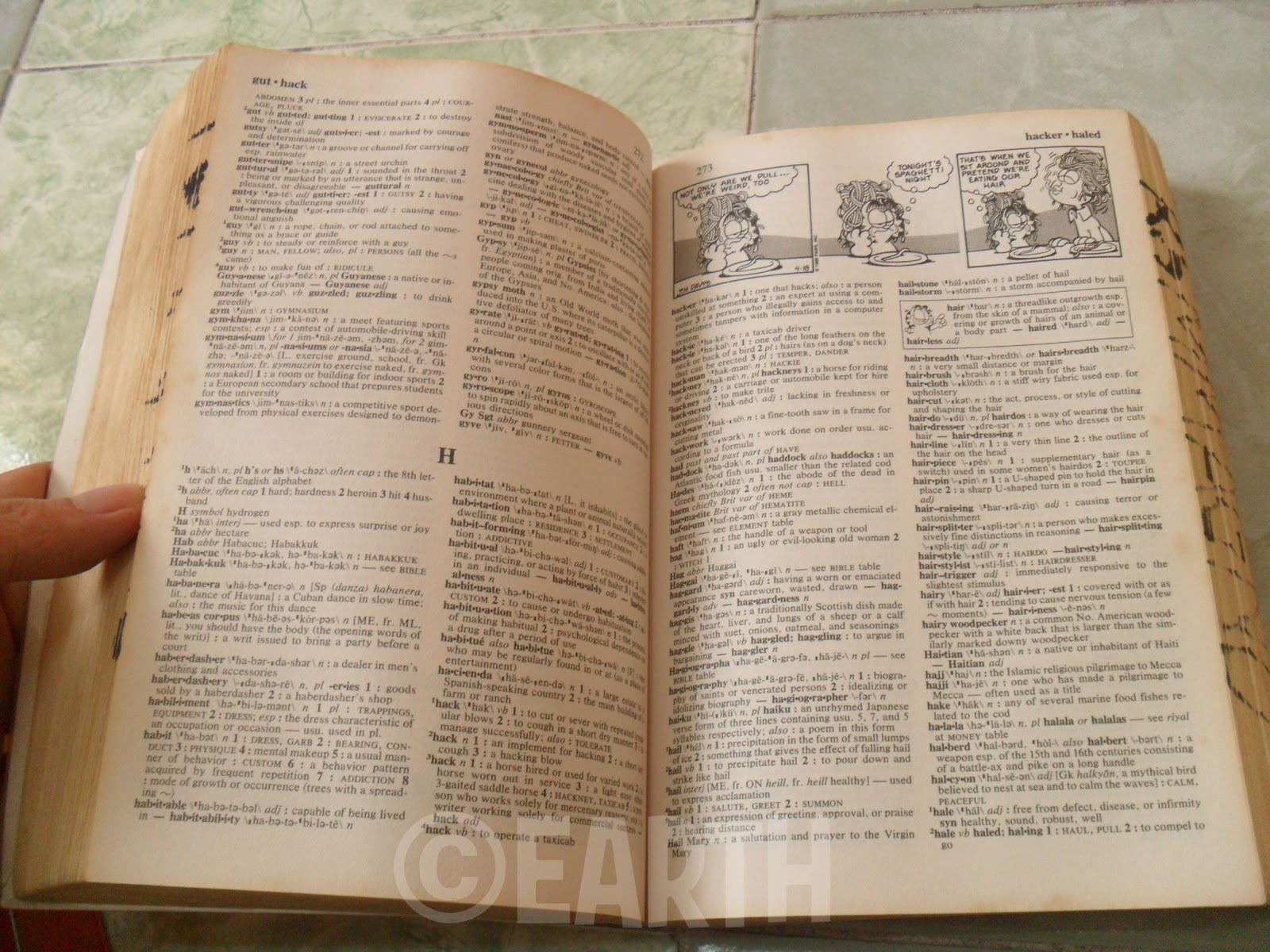 My Garfield Collection: MERRIAM WEBSTER & GARFIELD DICTIONARY