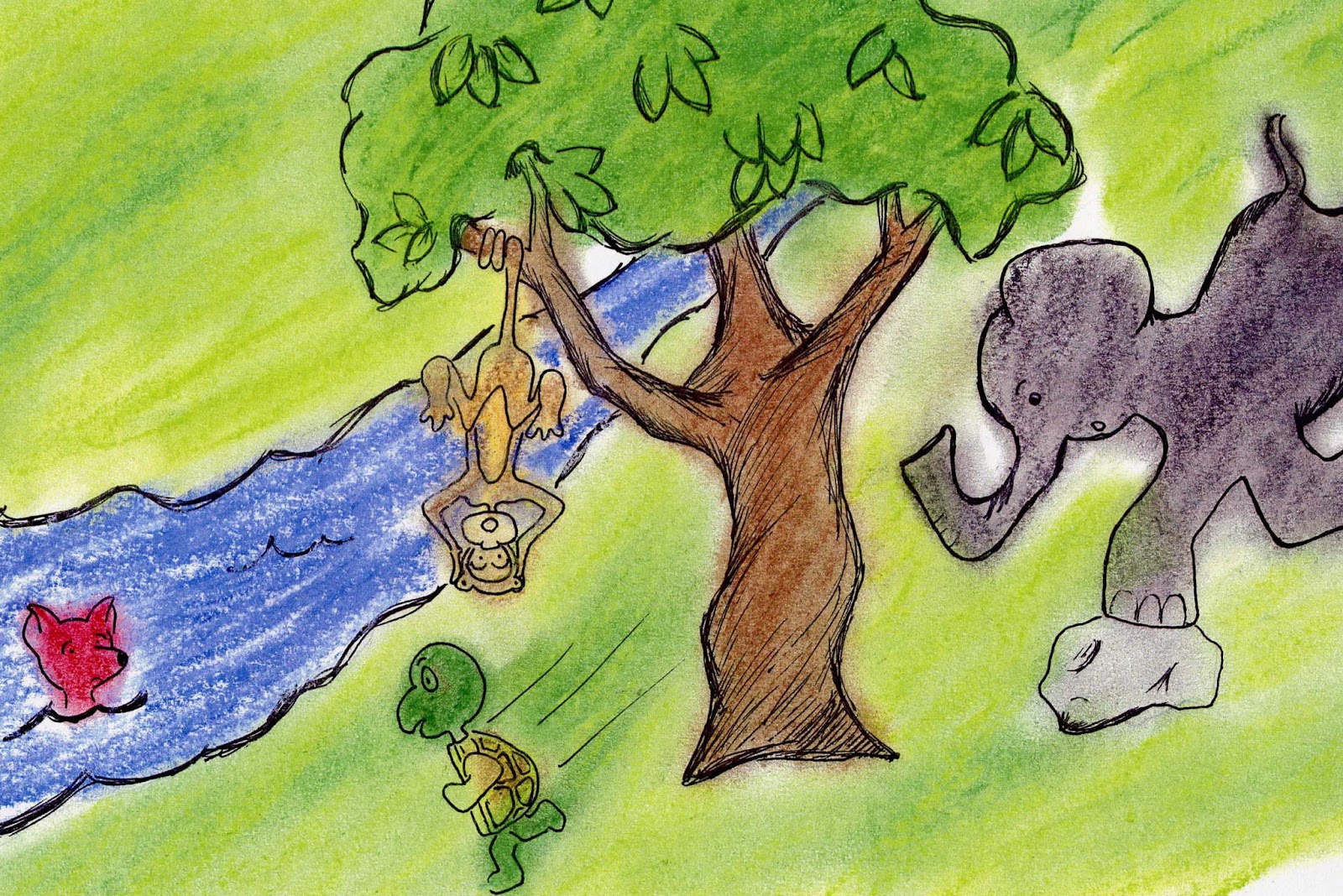 Tucker the Turtle | Bilingual Books for Kids