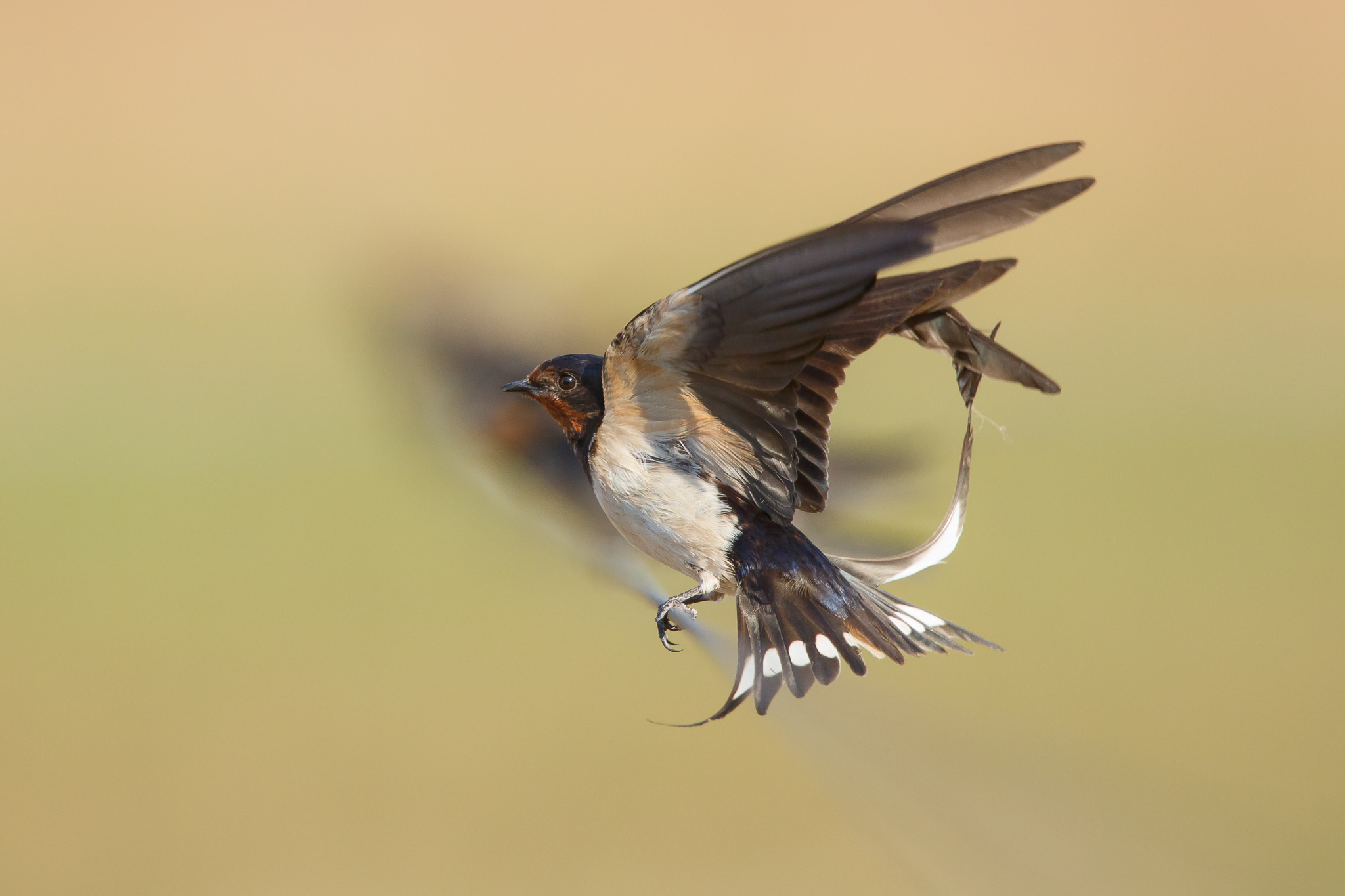 Nikos Fokas Photopraphy Blog