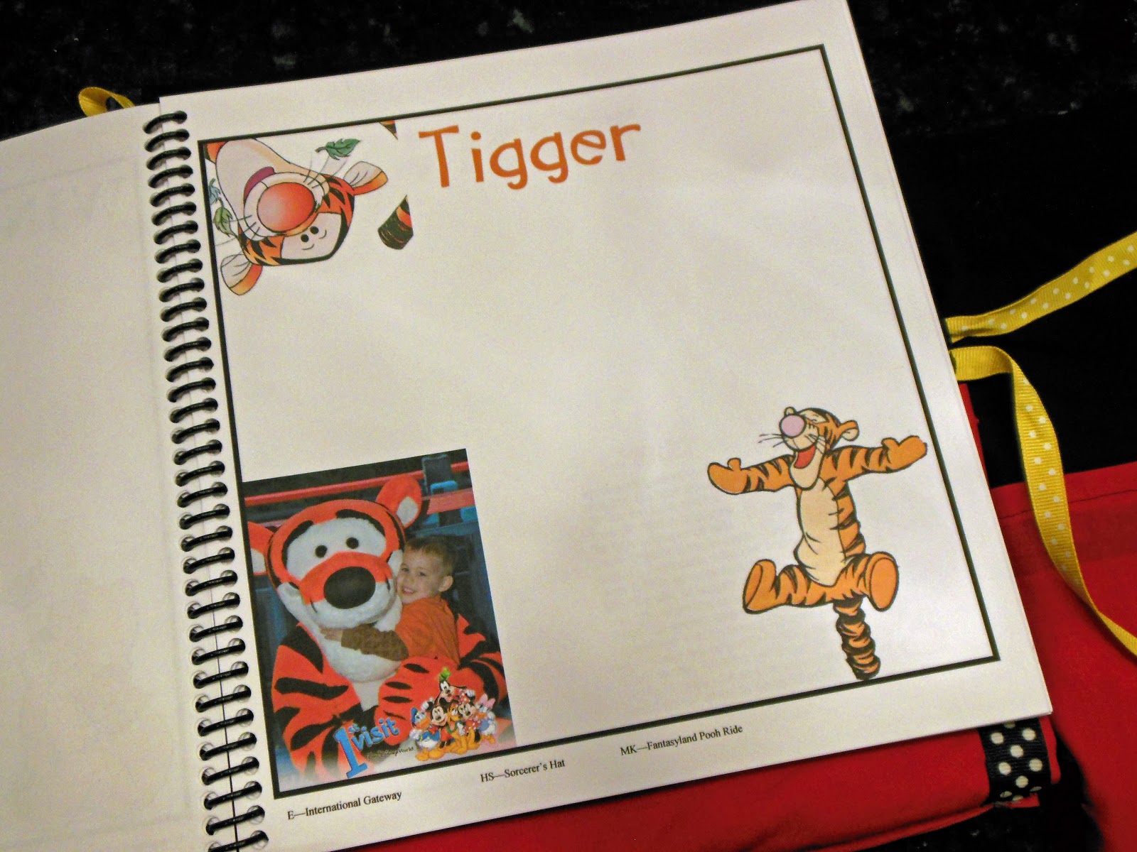 Learning As I Sew...bake, cut, and create: DIY Disney Autograph Book