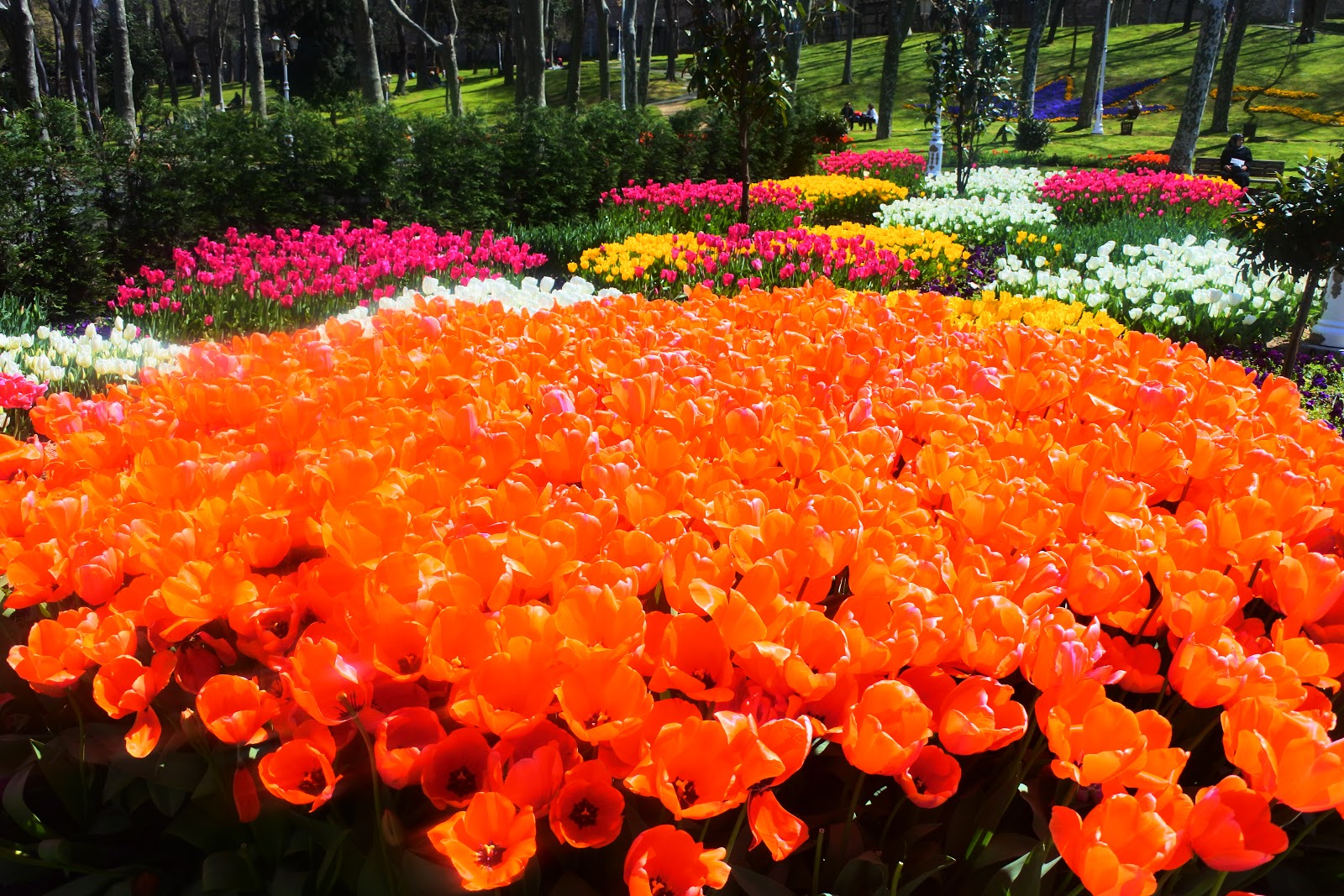 Jalan - jalan Turki 2016: Musim bunga di Istanbul ~ Alhamdulilah...di ...