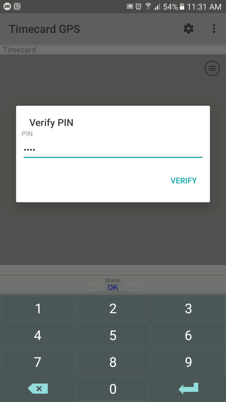 What Is Pin Checker at Julius Scudder blog