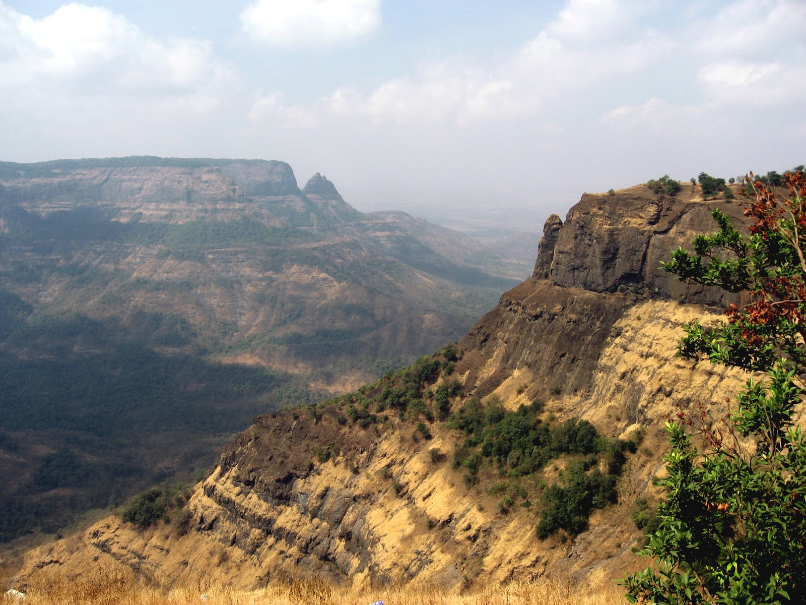 Report of the Western Ghats Ecology Expert Panel Part I. : 1.