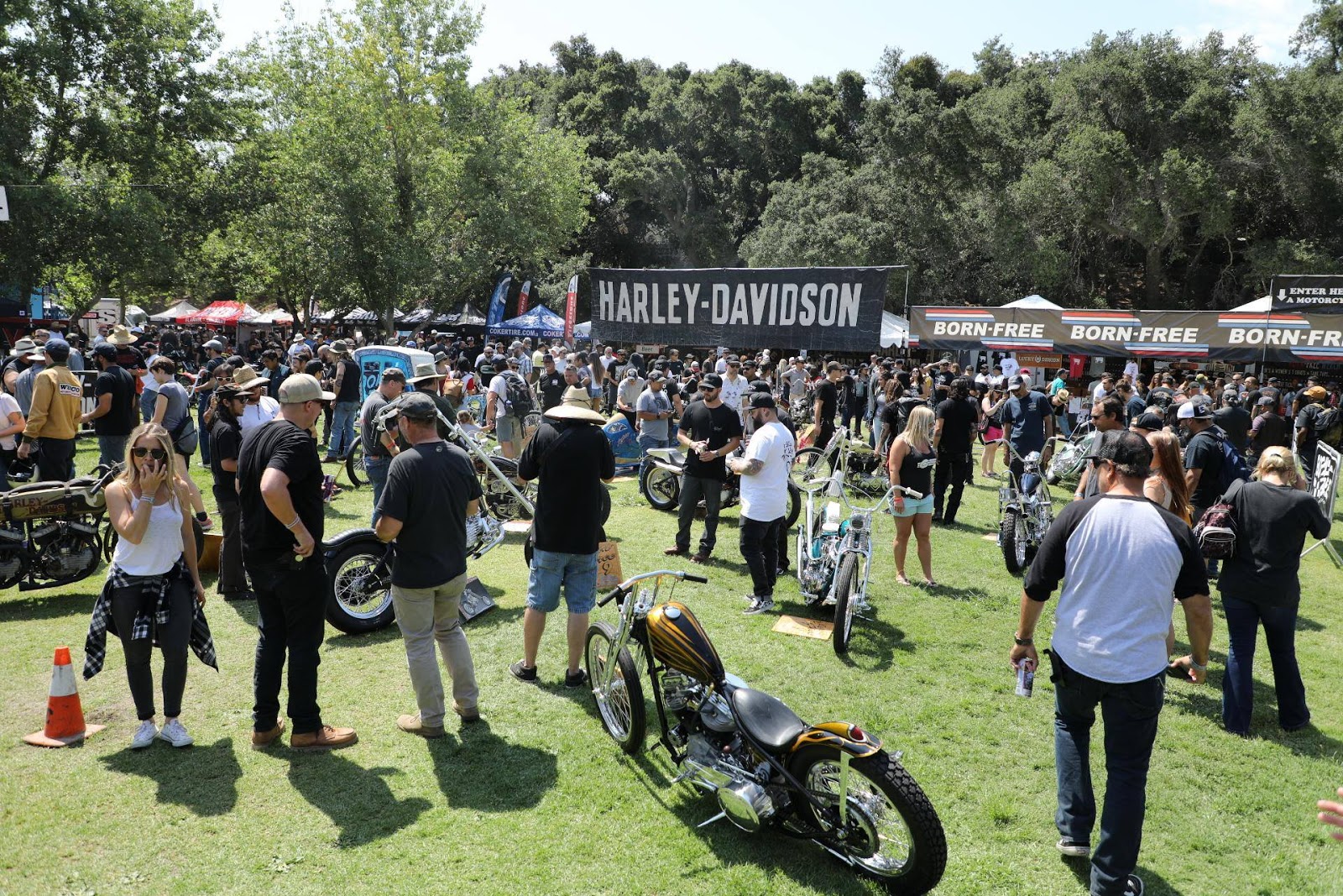 dWrenched - Kustom Kulture and Crazy Bikes: EVENT - BORN FREE 9
