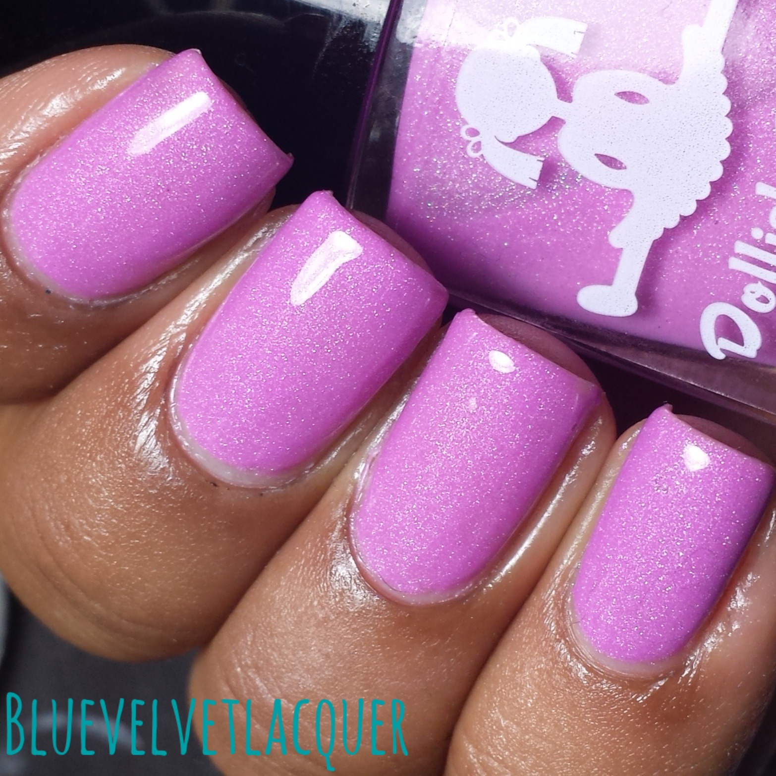 Blue Velvet Lacquer: Dolly Polish: Monthly Limited Edition Polish, Aca ...