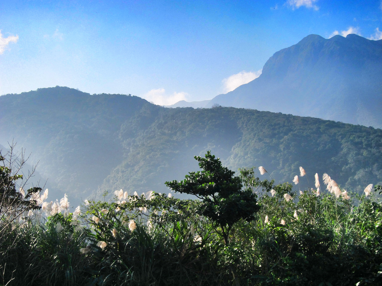 Everyday Im Travelling: Taiwan Day 6 : Yang Ming Shan 陽明山 + Fisherman ...