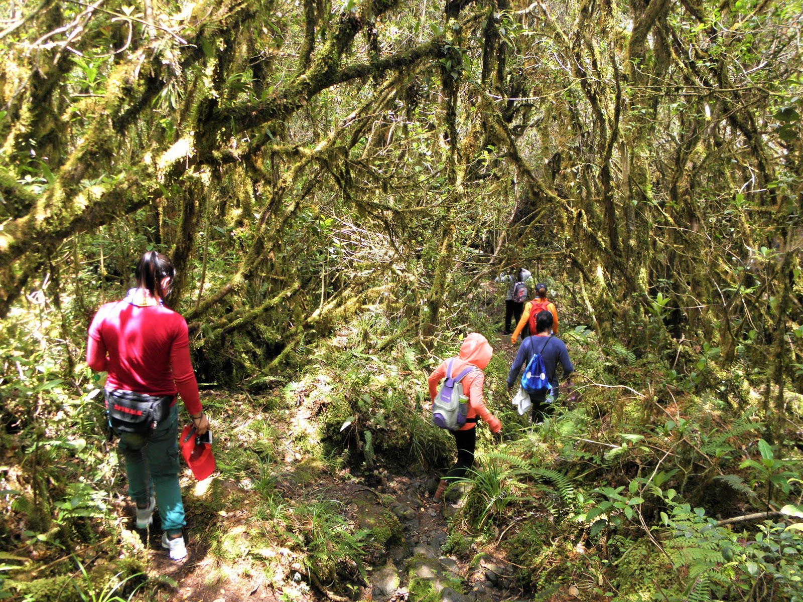 Hiking The Monkey Trails Of Mt. Tabayoc In Kabayan, Benguet