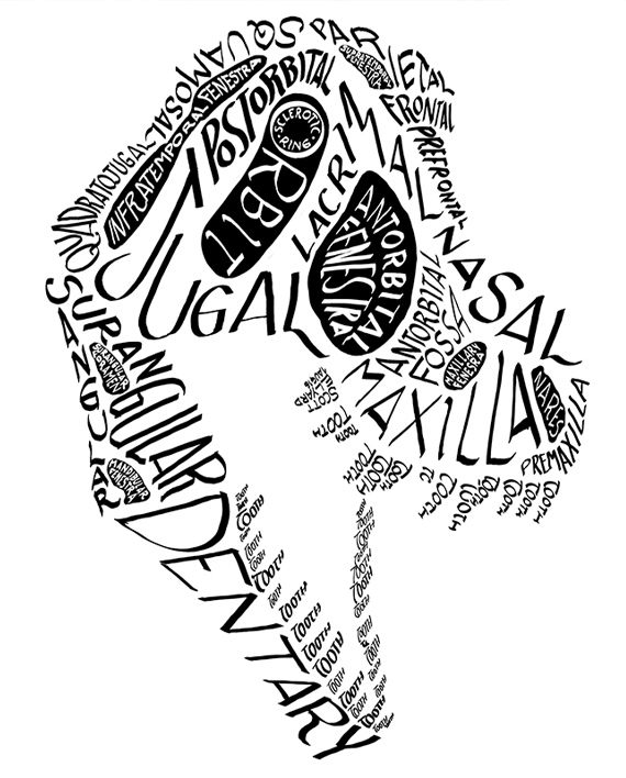 Love in the Time of Chasmosaurs: The 2016 Dinosaur Gift Guide