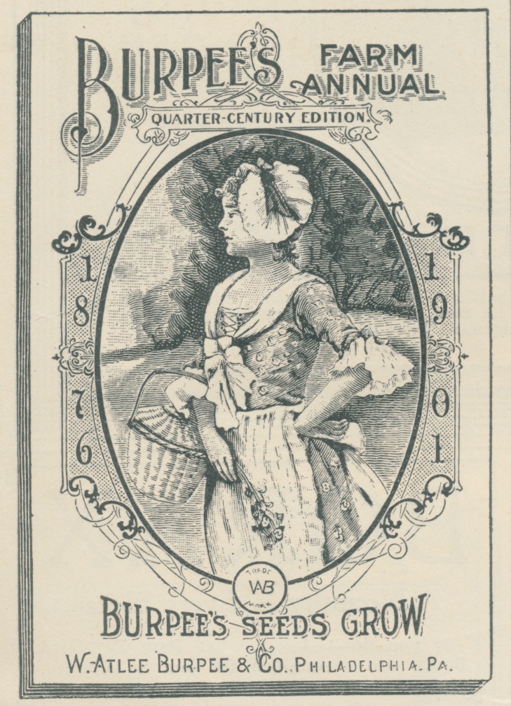 Clearly Vintage: Flower Seed Ads from 1901