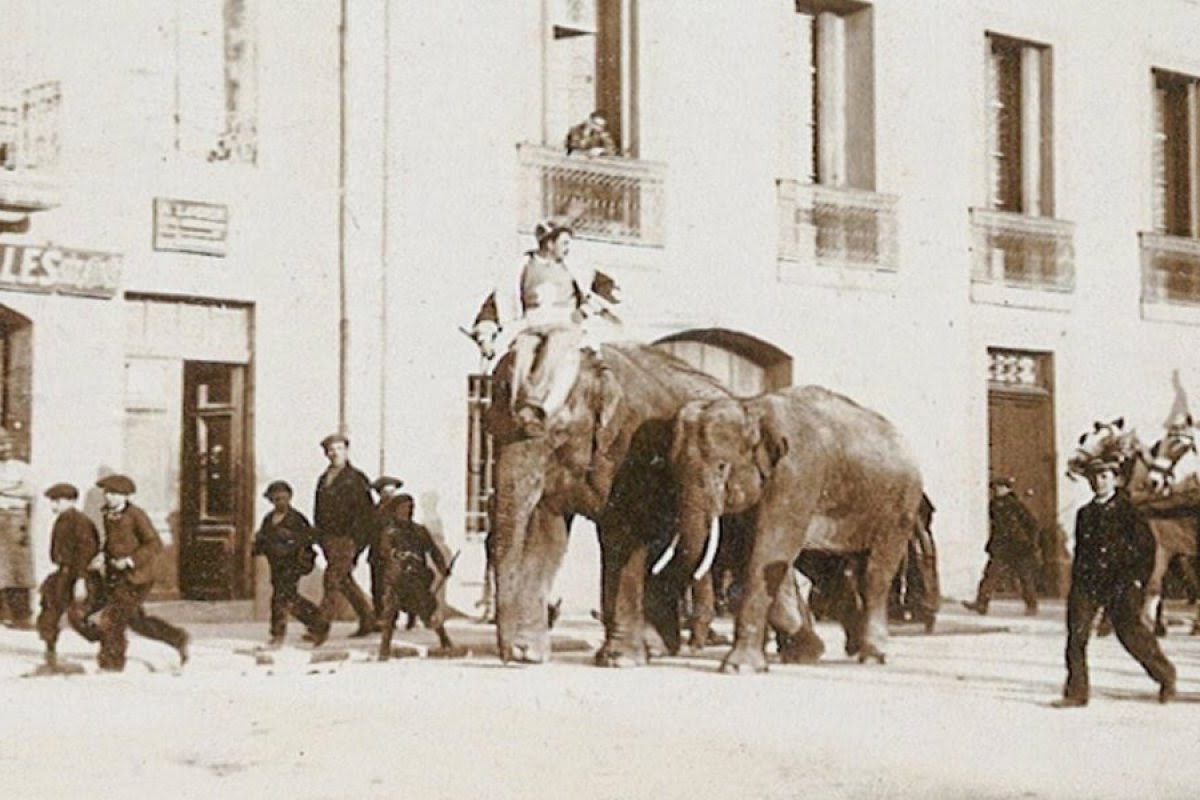 LES MAGAZINES DES ARTS NOMADES: le Cirque Barnum à Sète, en 1902
