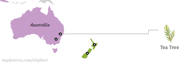 A teafaolaj felhasználási módjai: