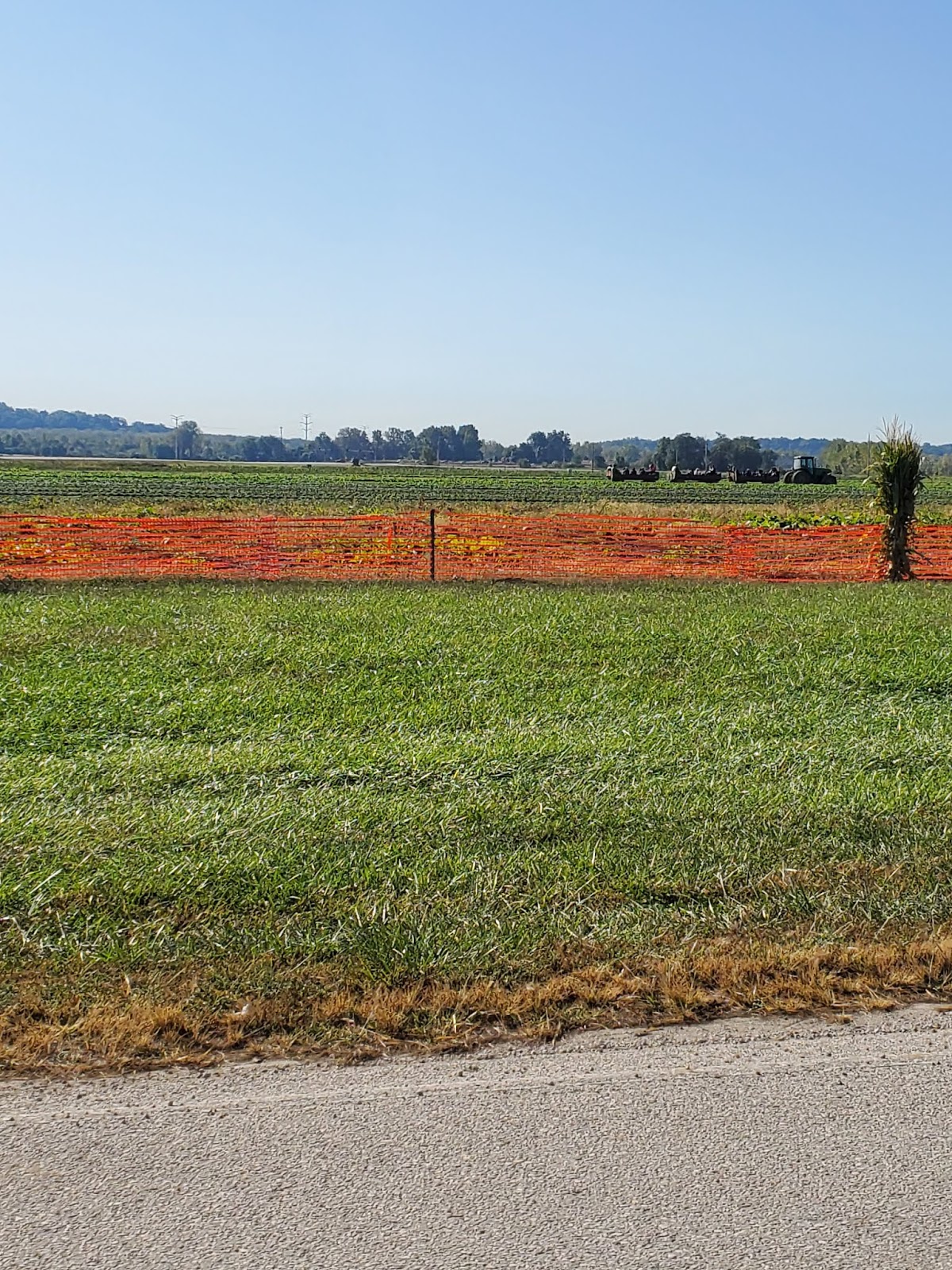 Play St. Louis: Thies Farm (Pumpkinland), Maryland Heights