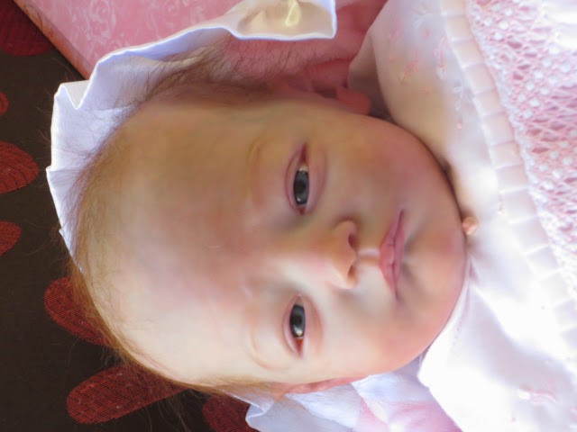 Elisabetta's Babies Studio: PORTRAIT REBORNS