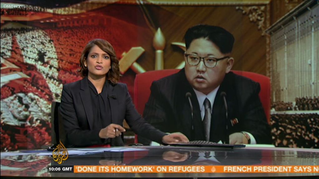 Elizabeth Puranam - 29 Aug 17 - Newshour