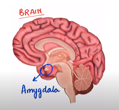 All about Anger 😈 - PART 1