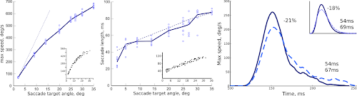 Janne In Osaka: Our Saccade model paper, explained