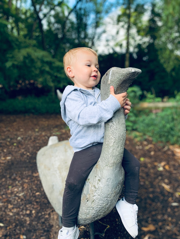 the sweet life of Kay: How I'm helping Harry in Summer