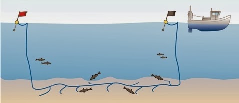 About Long Line ~ Fishing Longline Set