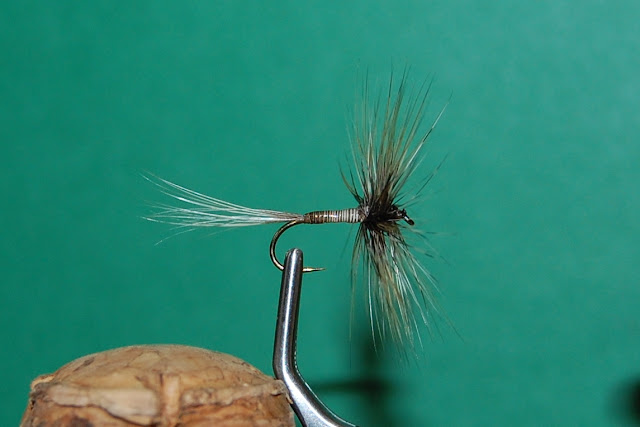 Ralph's Fly Box: Tying the Grey Fox Variant