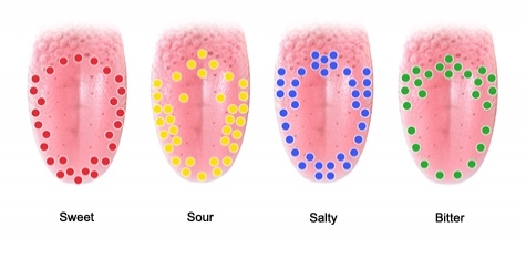 Teaching With Technology 101