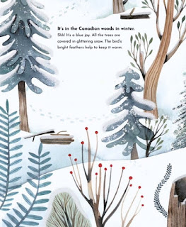 STORYWRAPS: "One World, Many Colors" - a bookwrap