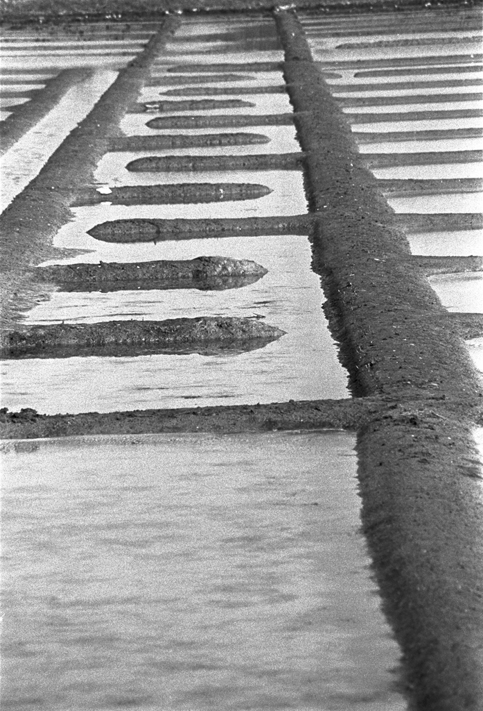 Objectif Image (le blog photo): Jacques Amiel - Ligne