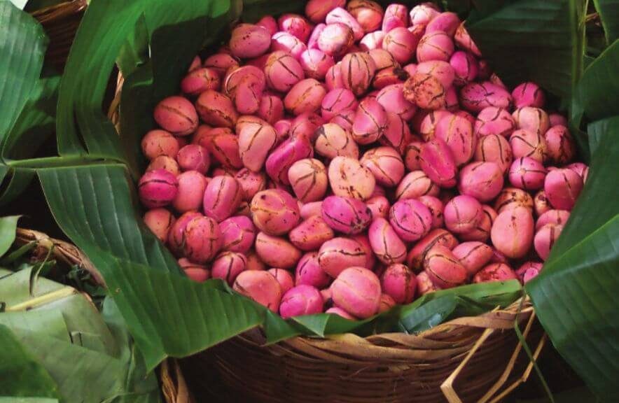 Doc' Chiffres & Mots: Les rajouts de "cairotes"