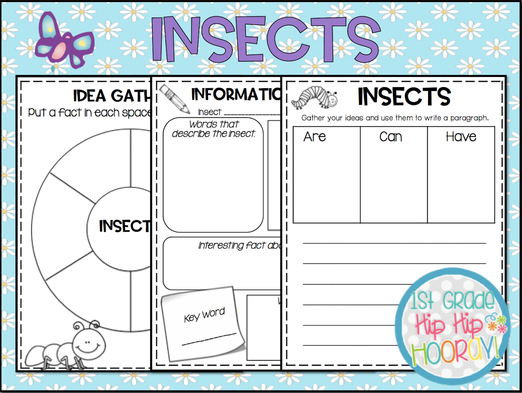 1st Grade Hip Hip Hooray!: Insects!!