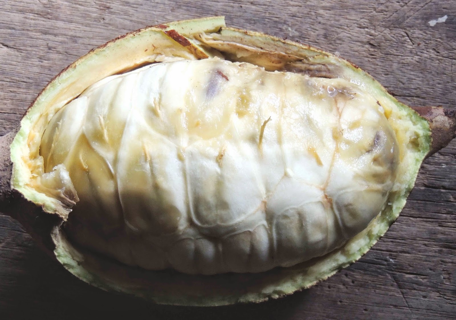 Tea With Tina: Pangi