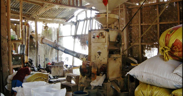 Naturalism - the Eighth Sense: The old kiskisan lives on