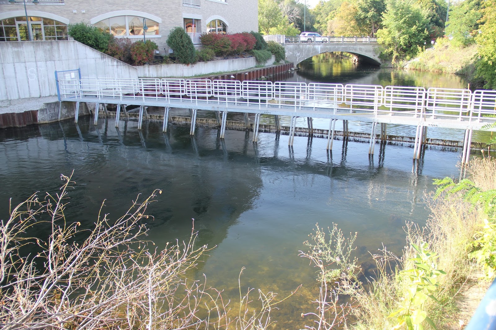 Isabella Conservation District Environmental Education Program: Field ...